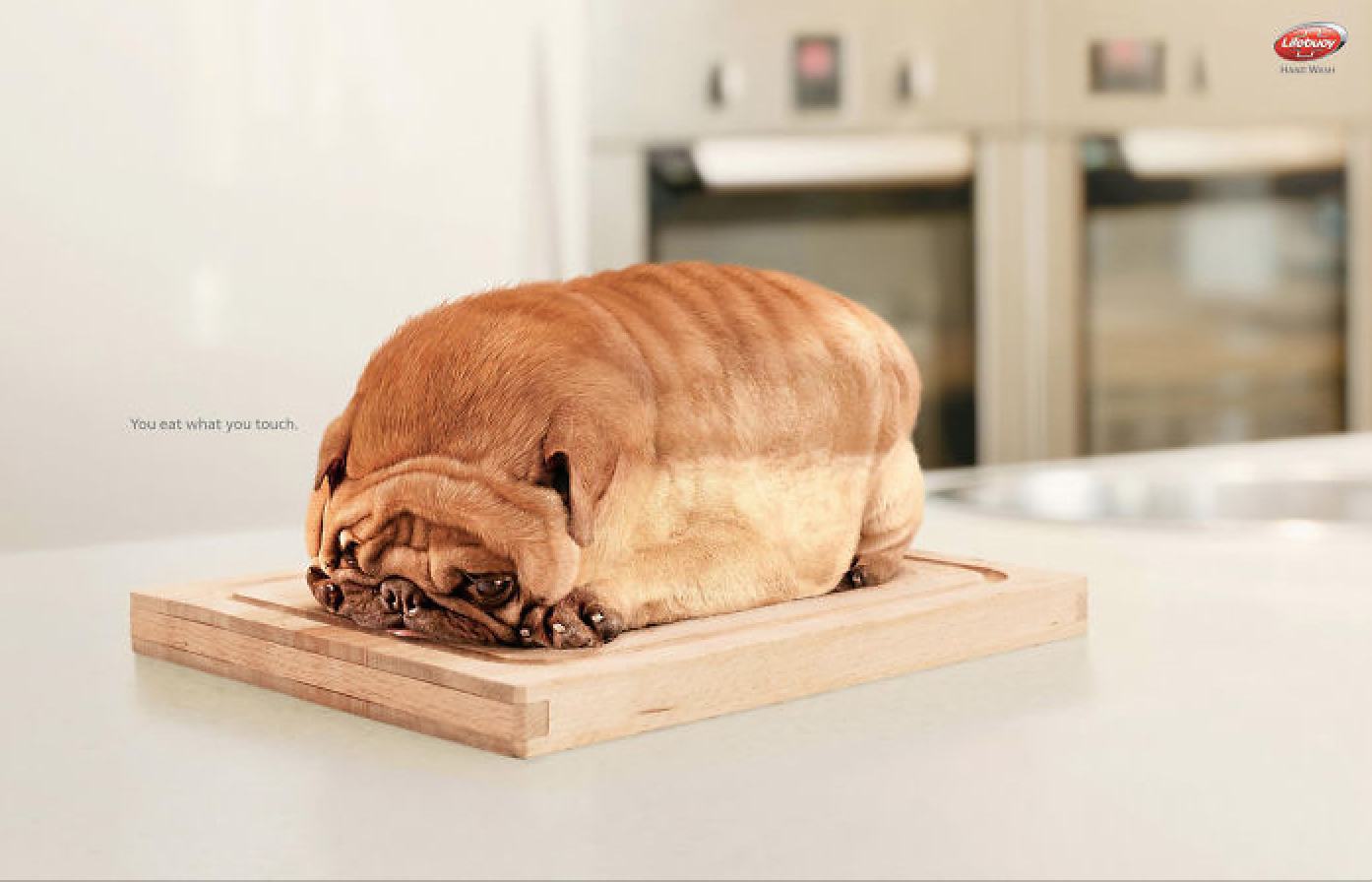 20 publicités créatives avec des animaux | Animaniacs